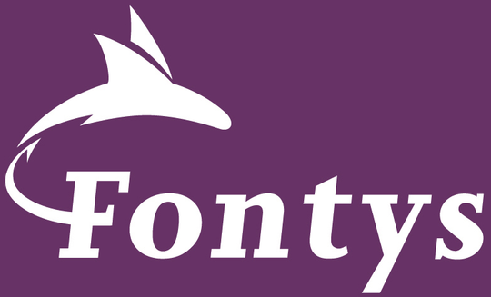 Fontys – DTCH shoes